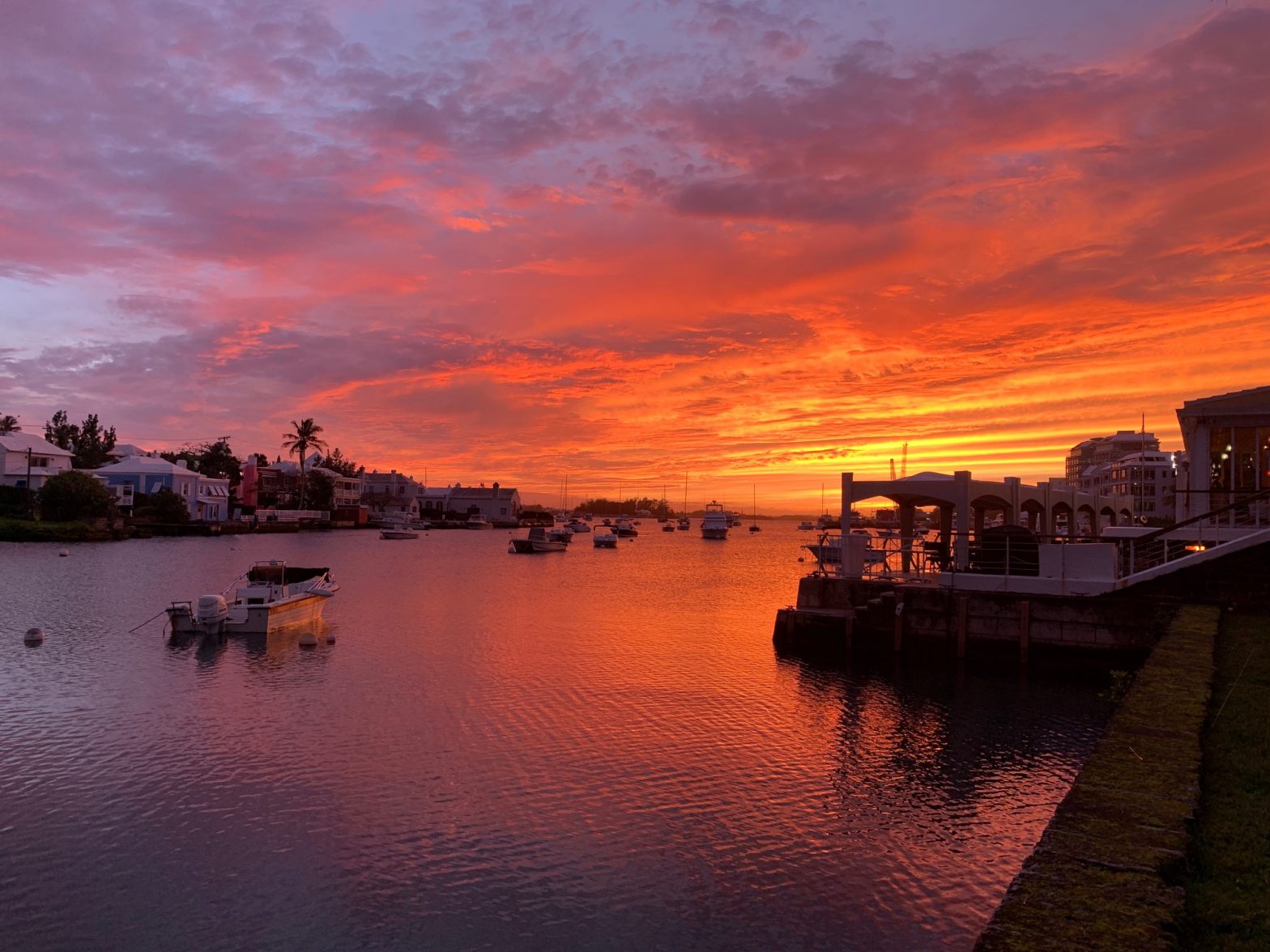 Gallery – Harbourfront