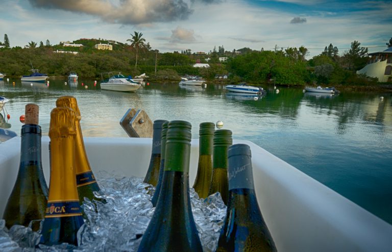 Gallery – Harbourfront