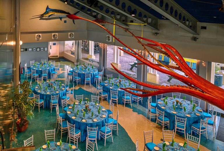 Gallery – Harbourfront